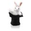 Rabbit in Hat Puppet - Lynn Kleiner's Music Rhapsody